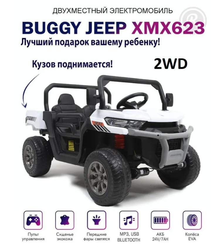 Электромобиль "багги", задний привод 2WD, 2 места, пульт ДУ, 24В