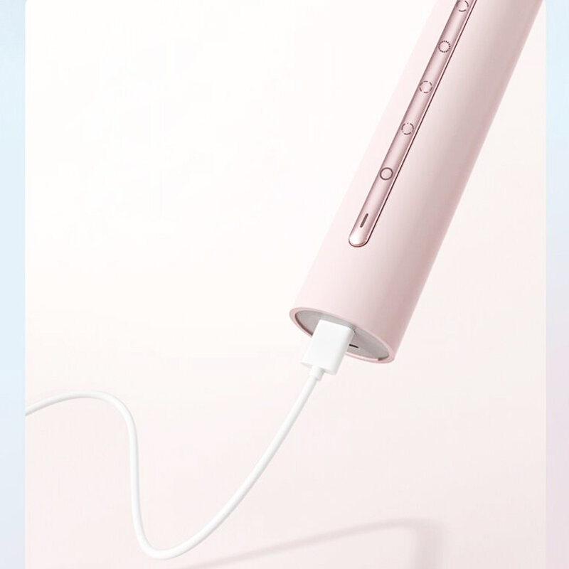 Электрическая зубная щетка унисекс BAIR Soundwave A9, Official Standard+4 Pcs Brush Head+Smart Wall Mounted Sterilization Chamber