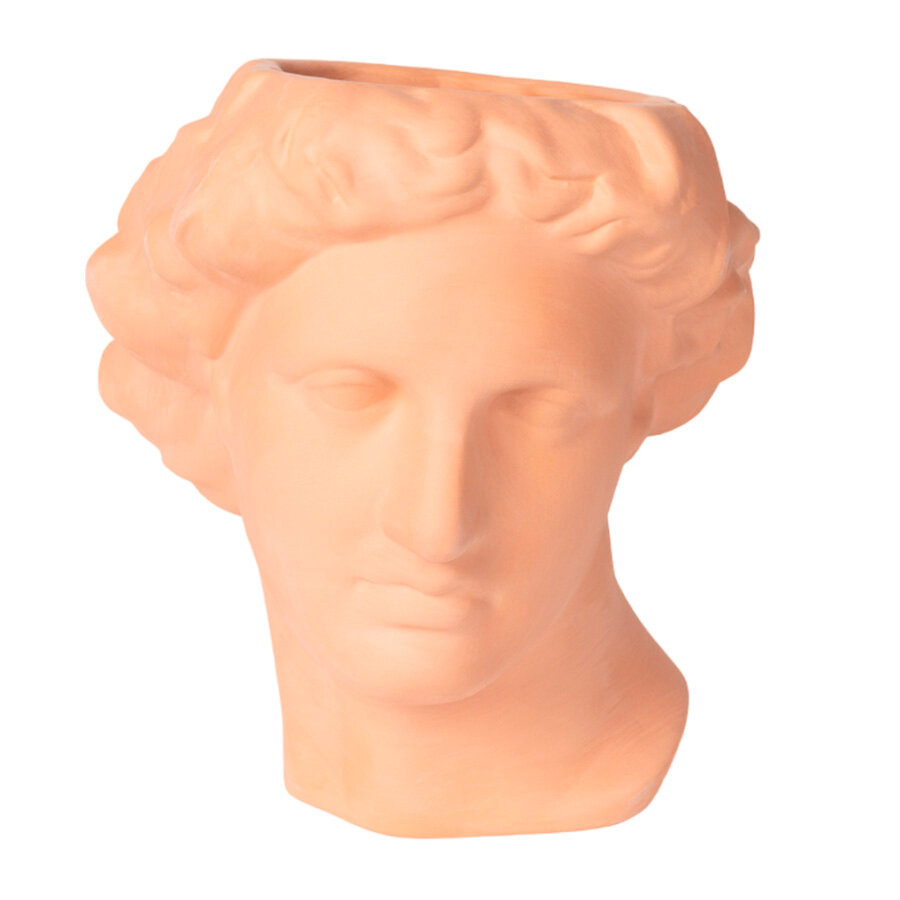 Ваза для цветов сухоцветов Apollo 23,4 см в виде головы декоративная керамика Doiy DYVASEAPOT