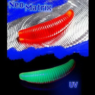 Мягкие приманки Jara Baits Trout Series BRUCHI-40 Сыр # 604 UV (12шт), в банке