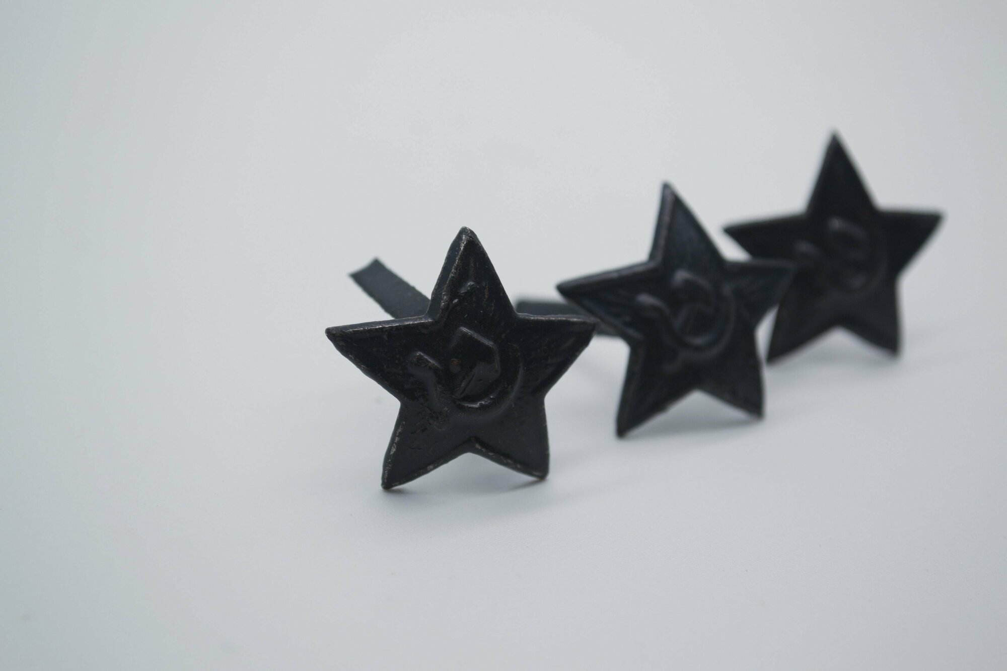 Звезда полевая серого цвета