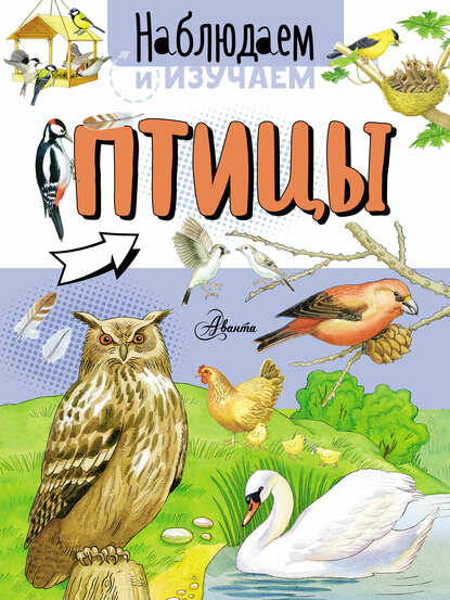 Птицы [Цифровая книга]