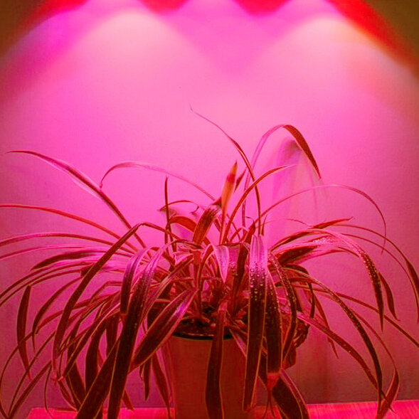 Фитолампа для растений с 4-мя светильниками (3 режима свечения)