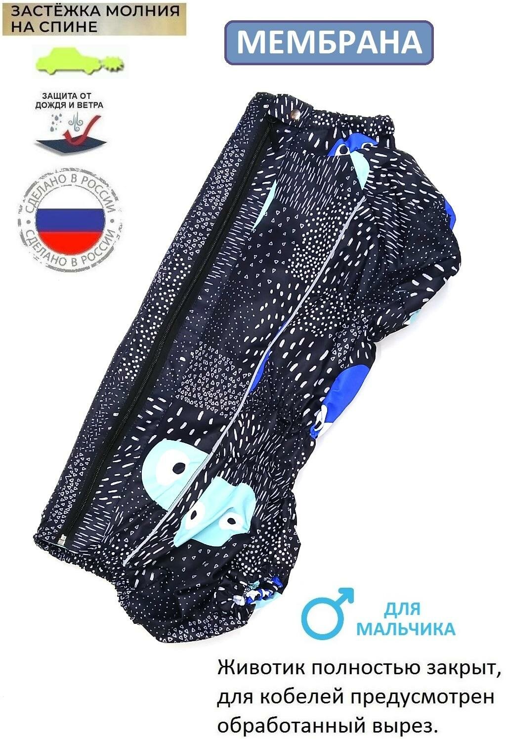 Комбинезон-дождевик для корги на грязь. Мальчик (55см мальчик)