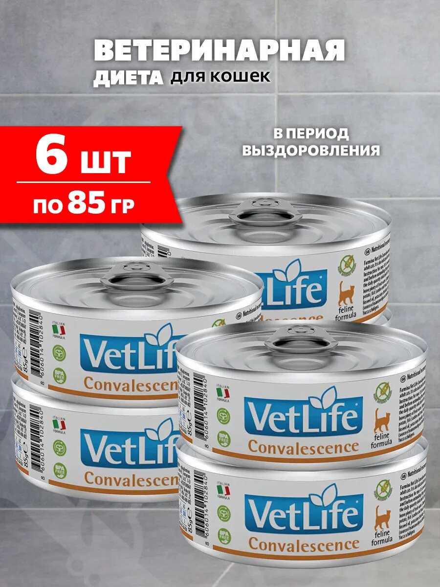 Корм влажный Farmina Vet Life Feline Convalescence для взрослых кошек в период выздоровления, 85 г 6 шт