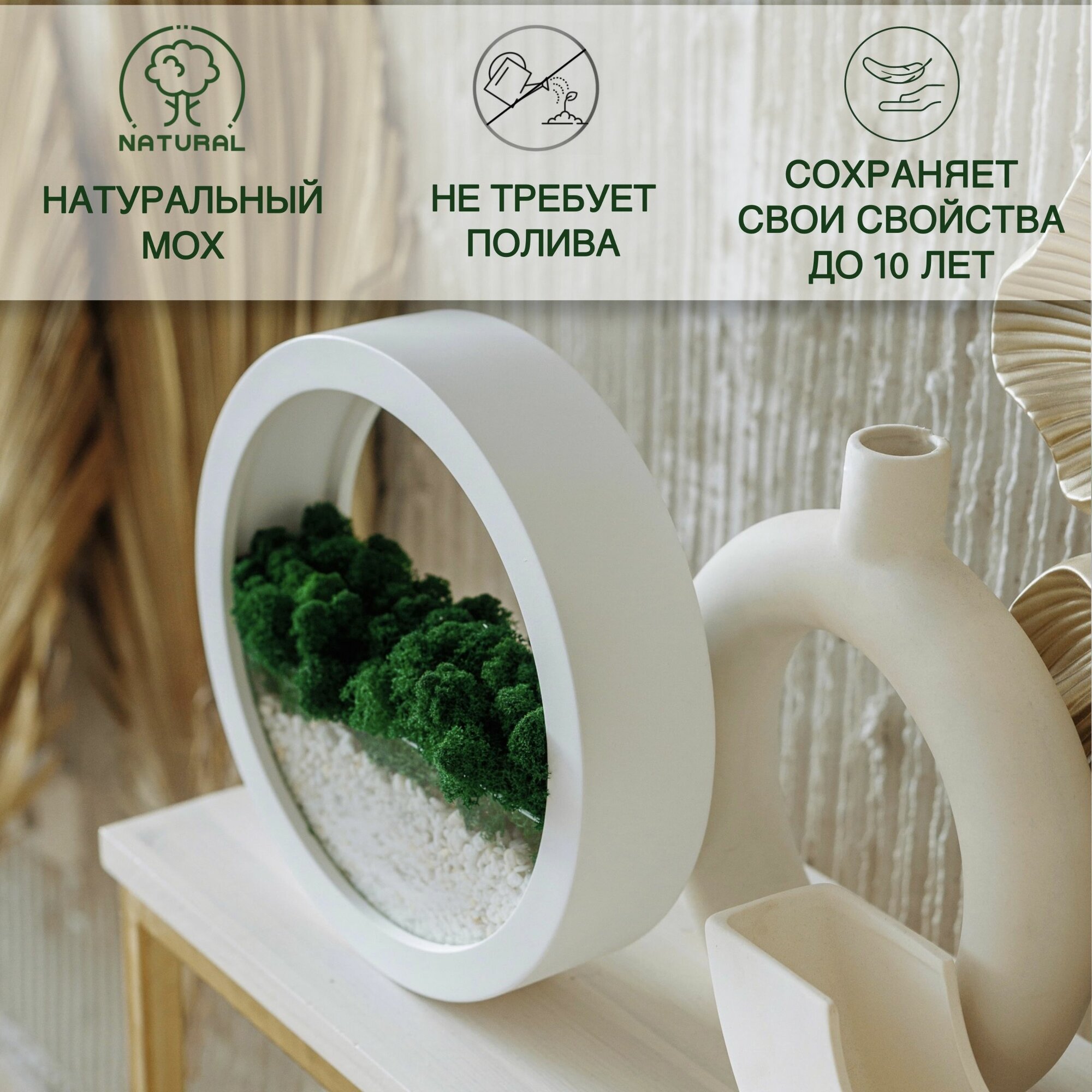 Настенное круглое декоративное кашпо белое 25 см со стабилизированным мхом на стену интерьерное с сухоцветами, Molecula Decor