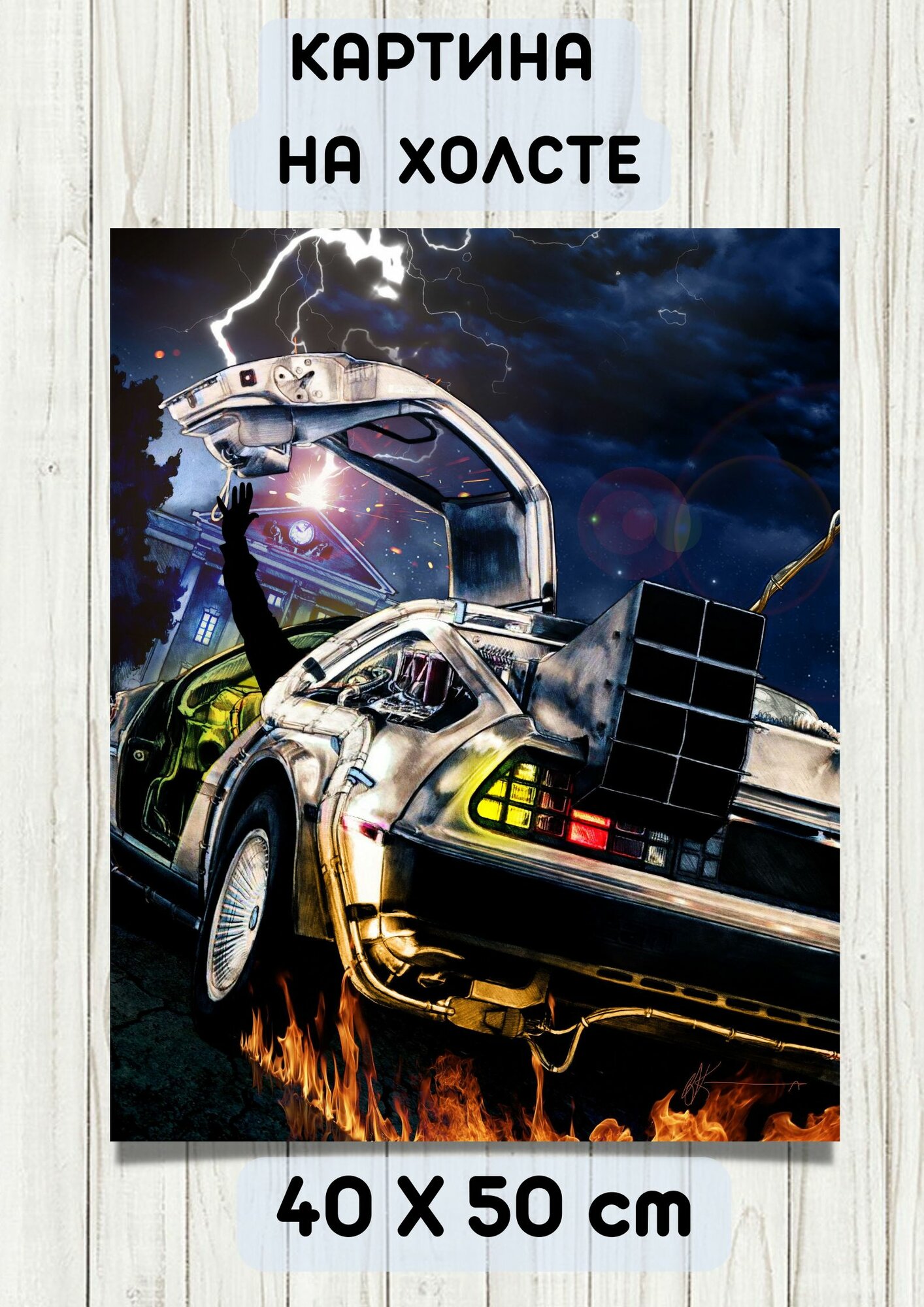 Картина 50х40 по мотивам фильма Назад в Будущее - Доктор Макфлай