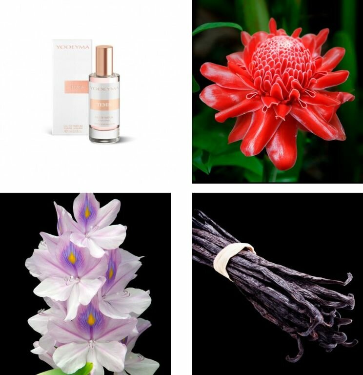 YODEYMA парфюмерная вода женская TEMIS 15 ml