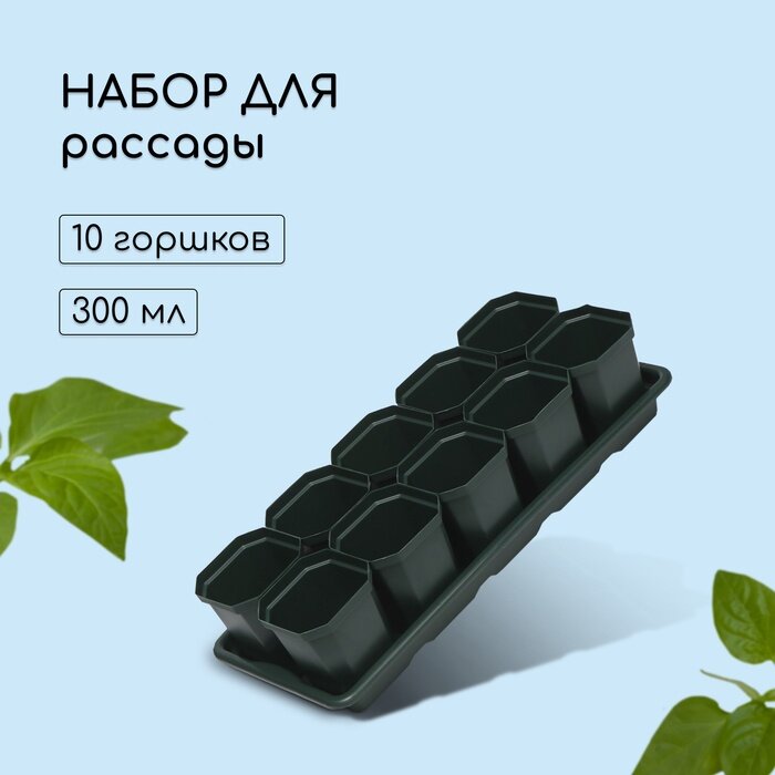 Набор для рассады: стаканы по 300 мл (10 шт.), поддон 41×17 см, цвет микс
