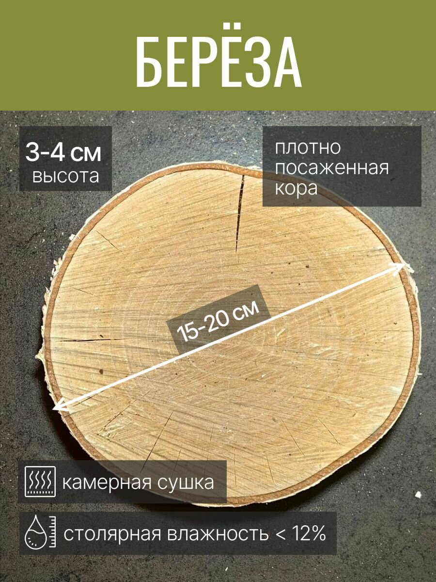 Спил дерева, Берёза d 15-20 см, срезы, для декора и творчества, деревянные заготовки