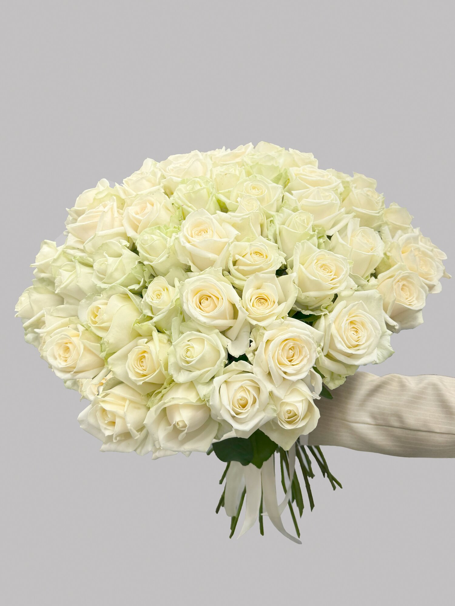 Букет живых цветов, кремово-белые розы 51 шт. 50 см. "Аваланж", ФЛАУ СТОР
