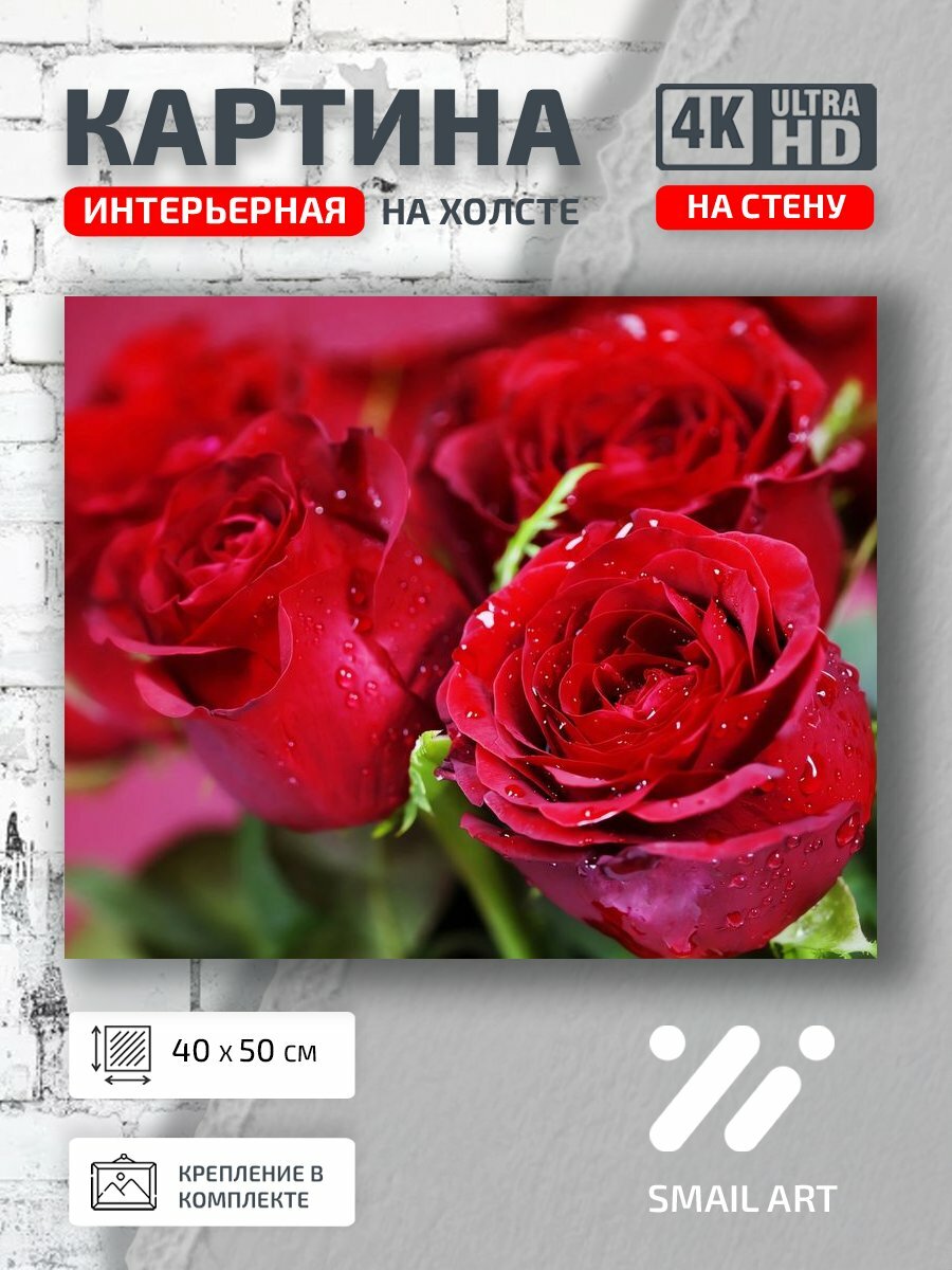 Картина на холсте интерьерная 40 на 50 на стену Капли Macro для студии макро интерьер декор