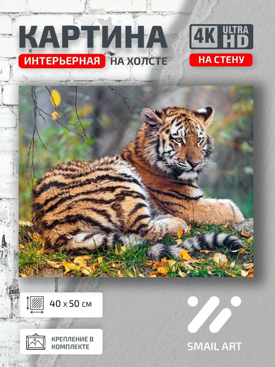 Картина на холсте интерьерная 40 на 50 на стену Осень Animal для кафе animal style интерьер
