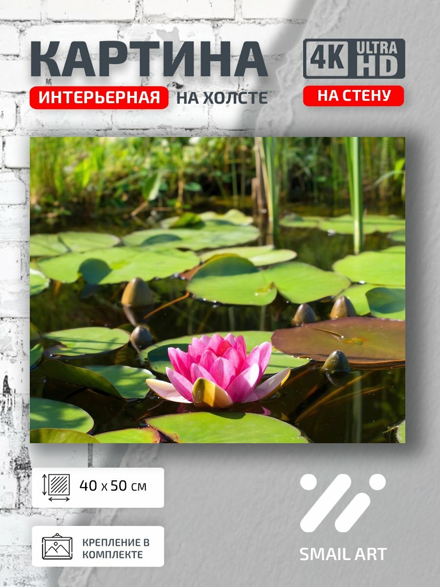 Картина на холсте интерьерная 40 на 50 на стену Лотос Landscape для офиса пейзаж интерьер