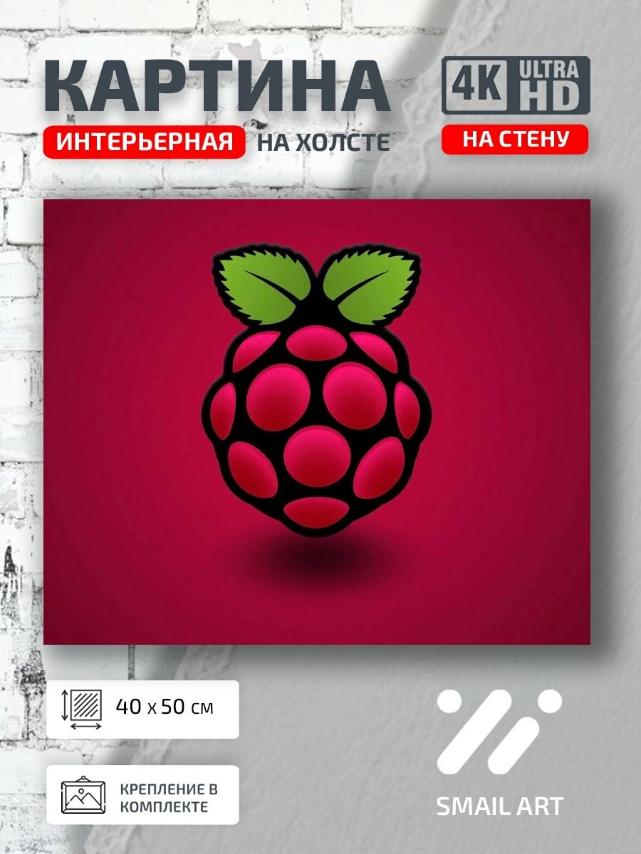 Картина на холсте интерьерная 40 на 50 на стену Rasberry Pi для спальни атмосфера