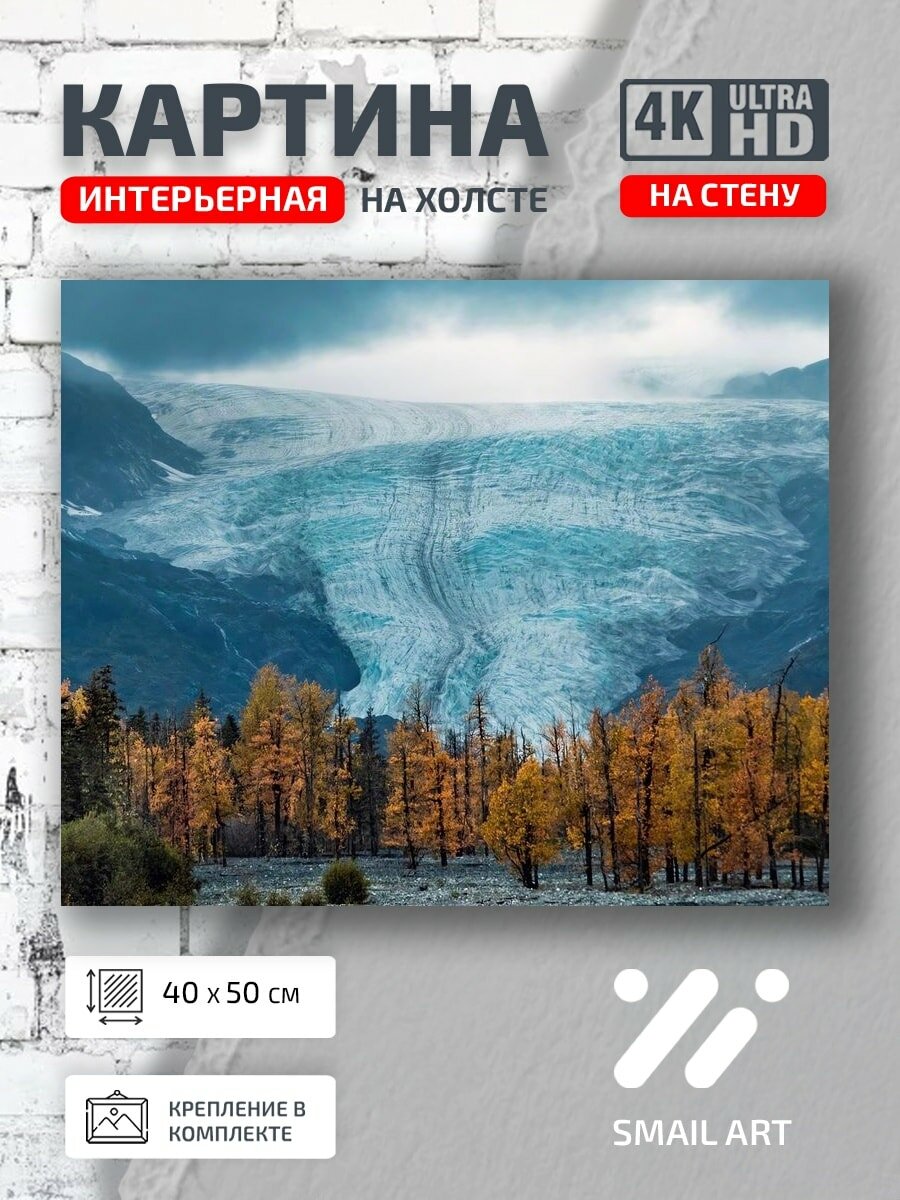 Картина на холсте интерьерная 40 на 50 на стену парк Кенай-Фьордс для офиса пейзаж
