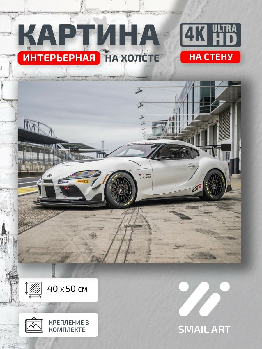 Картина на холсте интерьерная 40 на 50 на стену GT4 EVO2 для офиса атмосфера