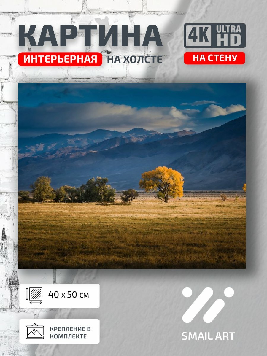Картина на холсте интерьерная 40 на 50 на стену Даль Landscape для гостиной пейзаж интерьер