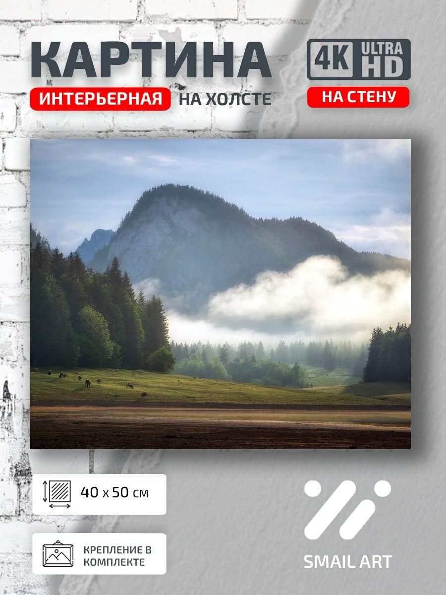 Картина на холсте интерьерная 40 на 50 на стену Природа Горы для гостиной пейзаж