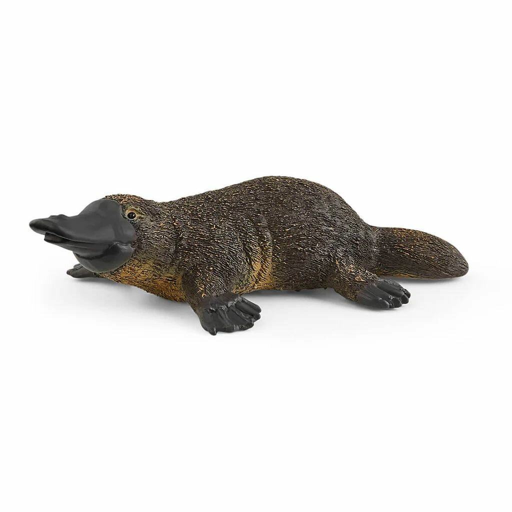 Фигурка Schleich Утконос, арт.14840, пластиковая, коллекционная