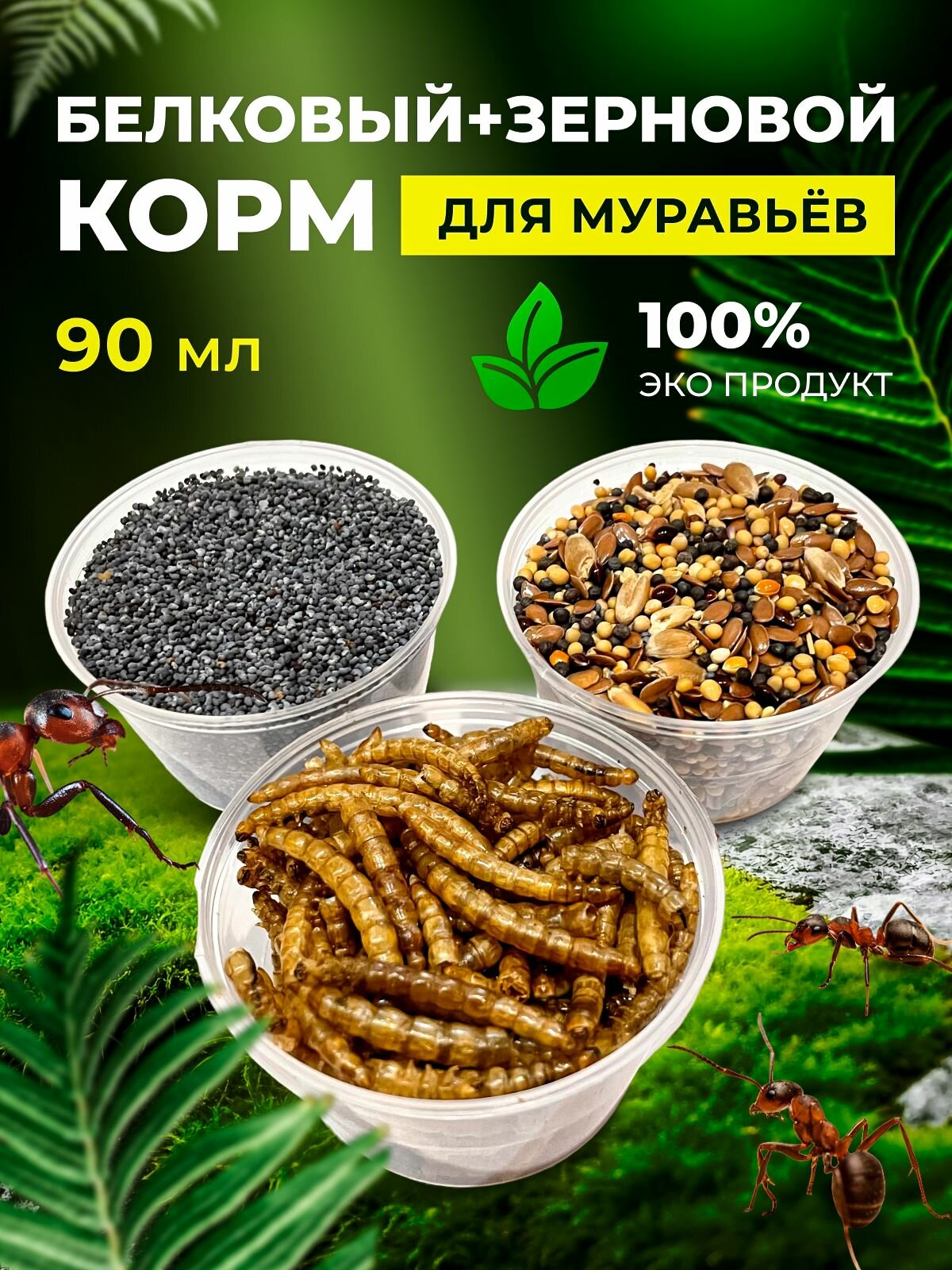 Корм для муравьев