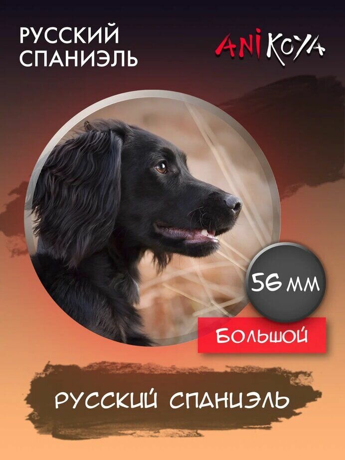 Значок AniKoya