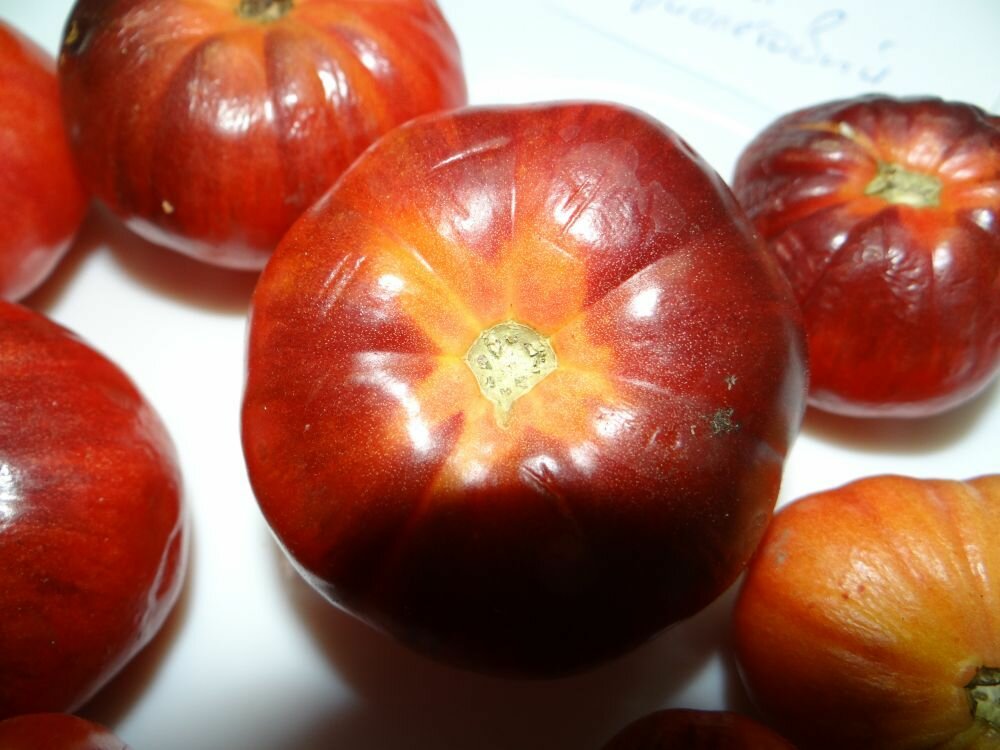 Коллекционные семена томата Дикий Фиолетовый Тимьян