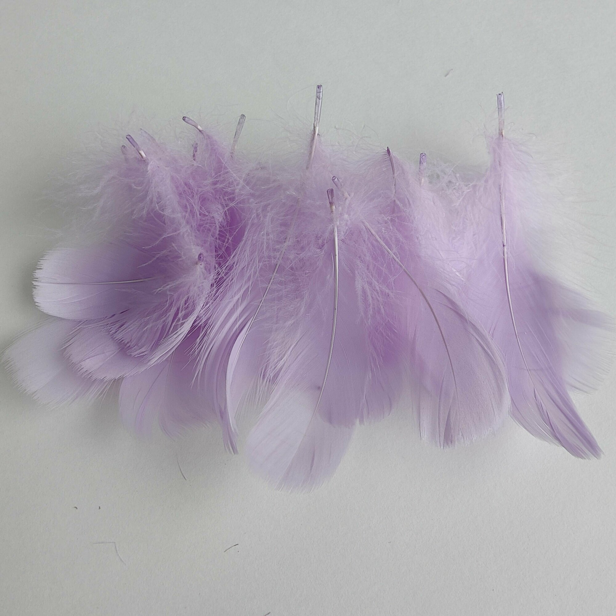 Перья декор светло-фиолетовые №25, 100 штук