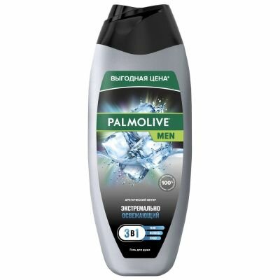 PALMOLIVE Гель для душа FOR MEN ACTIVE 3в1, Арктический ветер, 450 мл.
