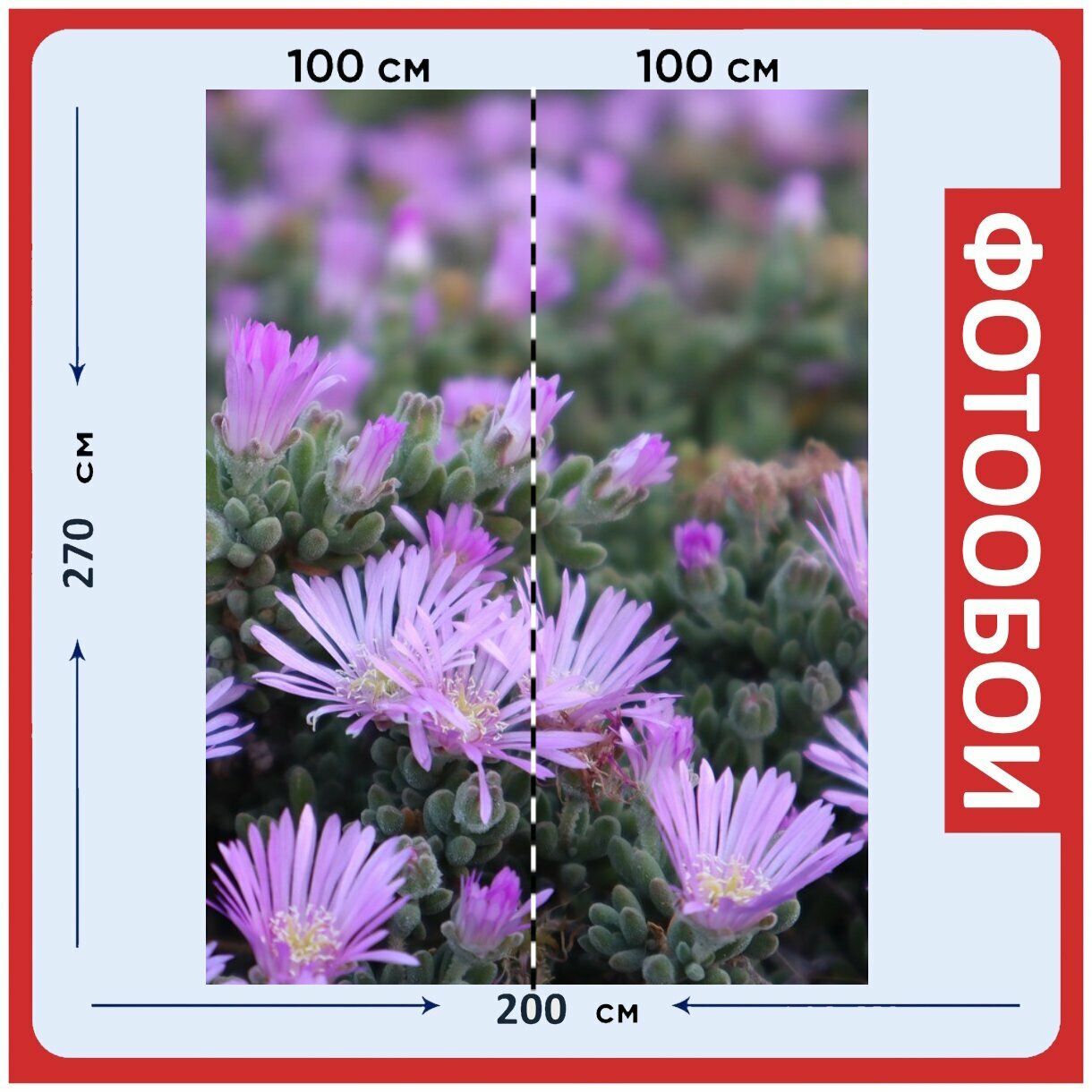 Фотообои "Сирень, цветок, цветы" 200x270 см. флизелиновыена стену