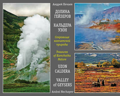 Сокровища камчатской природы. Долина Гейзеров. Кальдера Узон / Treasures of Kamchatka Nature. Valley of Geysers. Uzon Caldera [Цифровая книга]