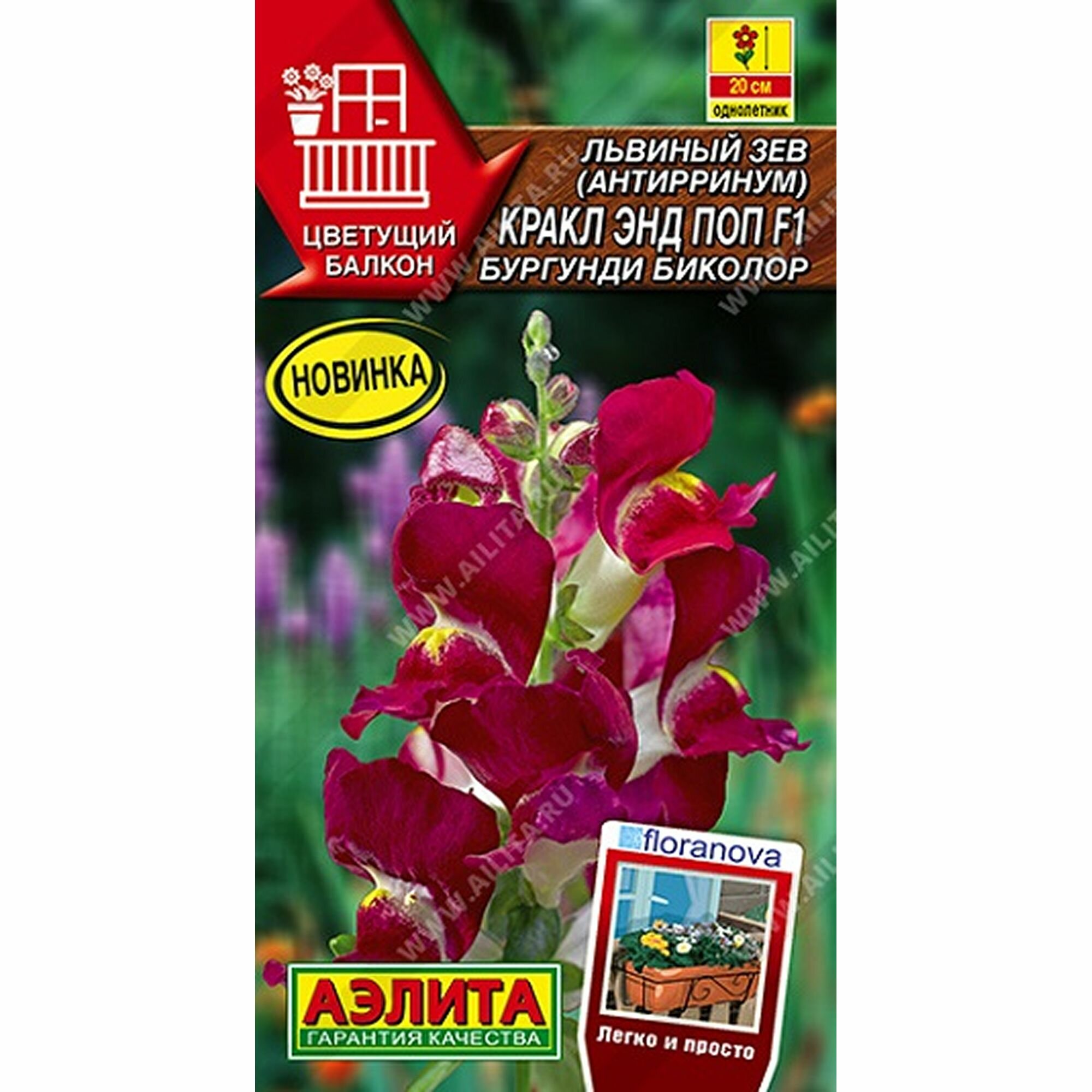 Семена Львиный зев - Кракл энд поп F1 бургунди биколор, Аэлита, 1 пачка - 7 семян