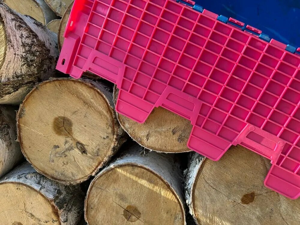 Чурочка березовая 25 см длина, 30 см диаметр Свежая заготовка