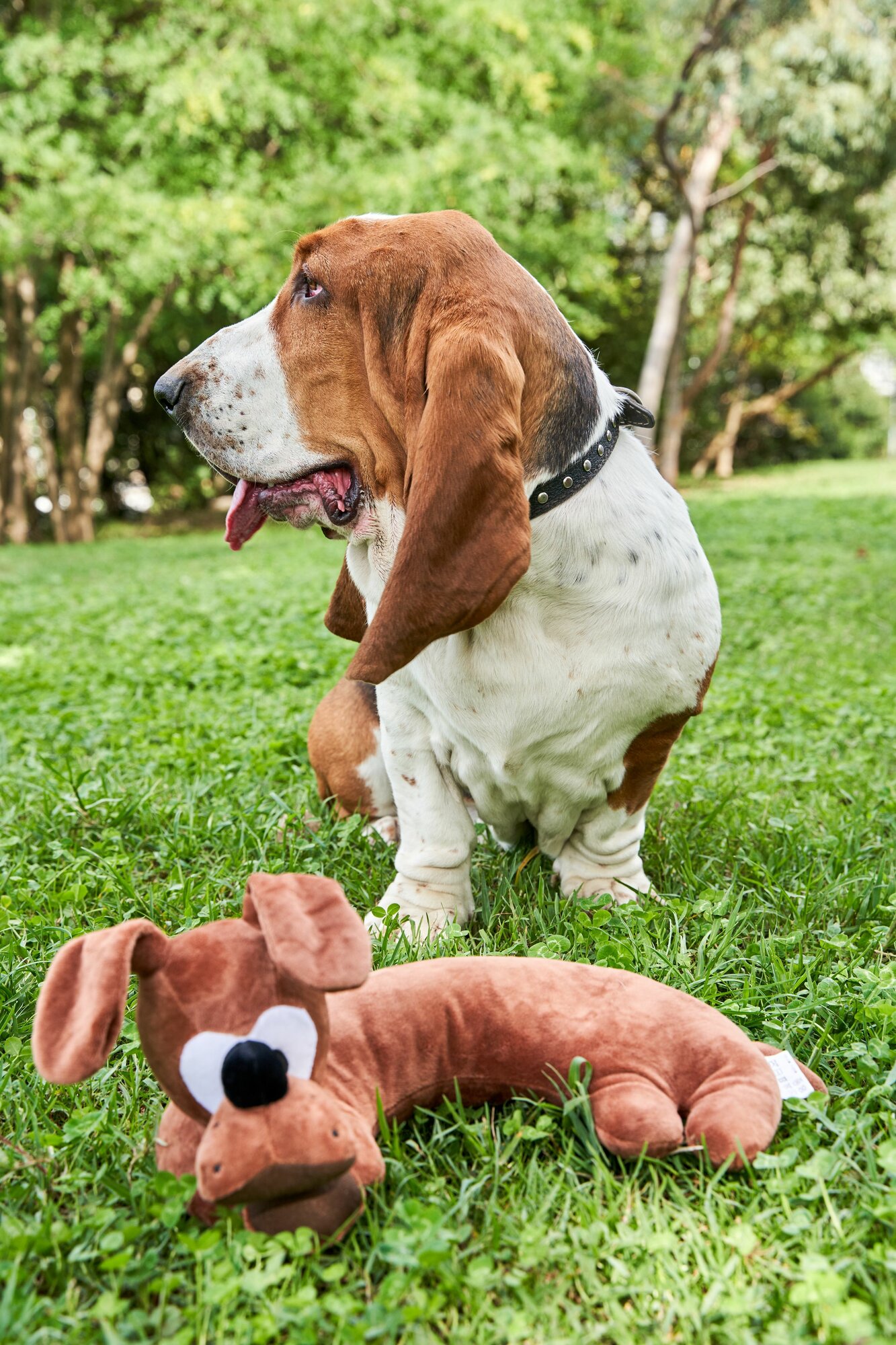 Игрушка для собак Japan Premium Pet лежанка антистресс в виде собаки