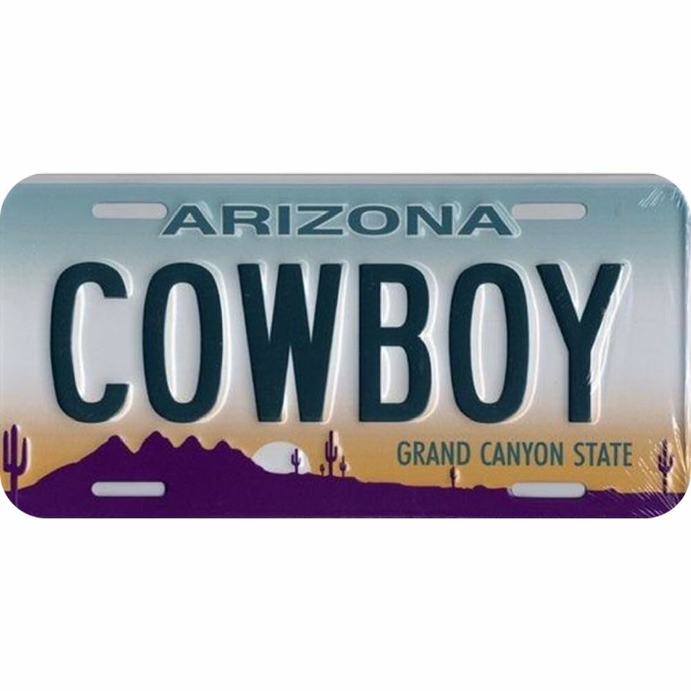 Ретро металлическая пластина 30x15 см с настраиваемым номерным знаком для декора дома, кафе и бара, стильный настенный акцент