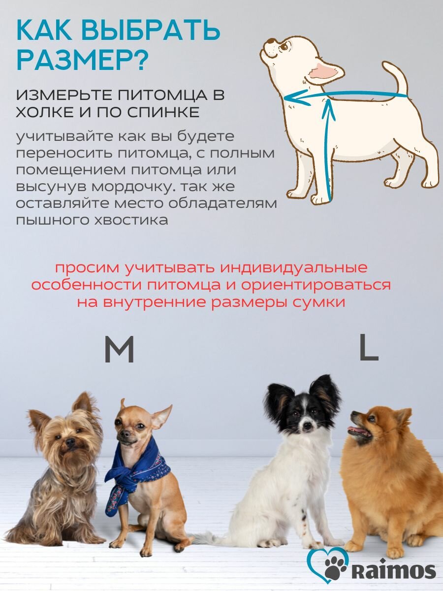 Переноска — фото 1