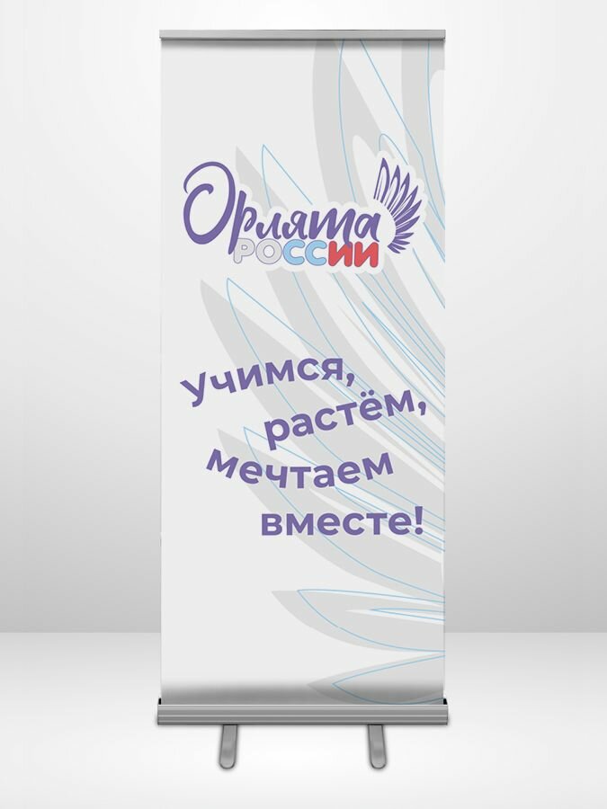 Ролл Ап (Roll Up) "Орлята" 85х200 см