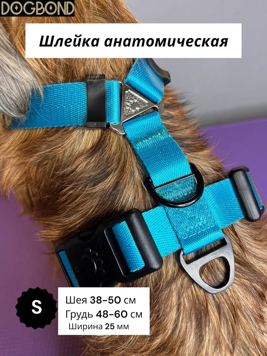Шлейка анатомическая Dogbond для малых пород собак