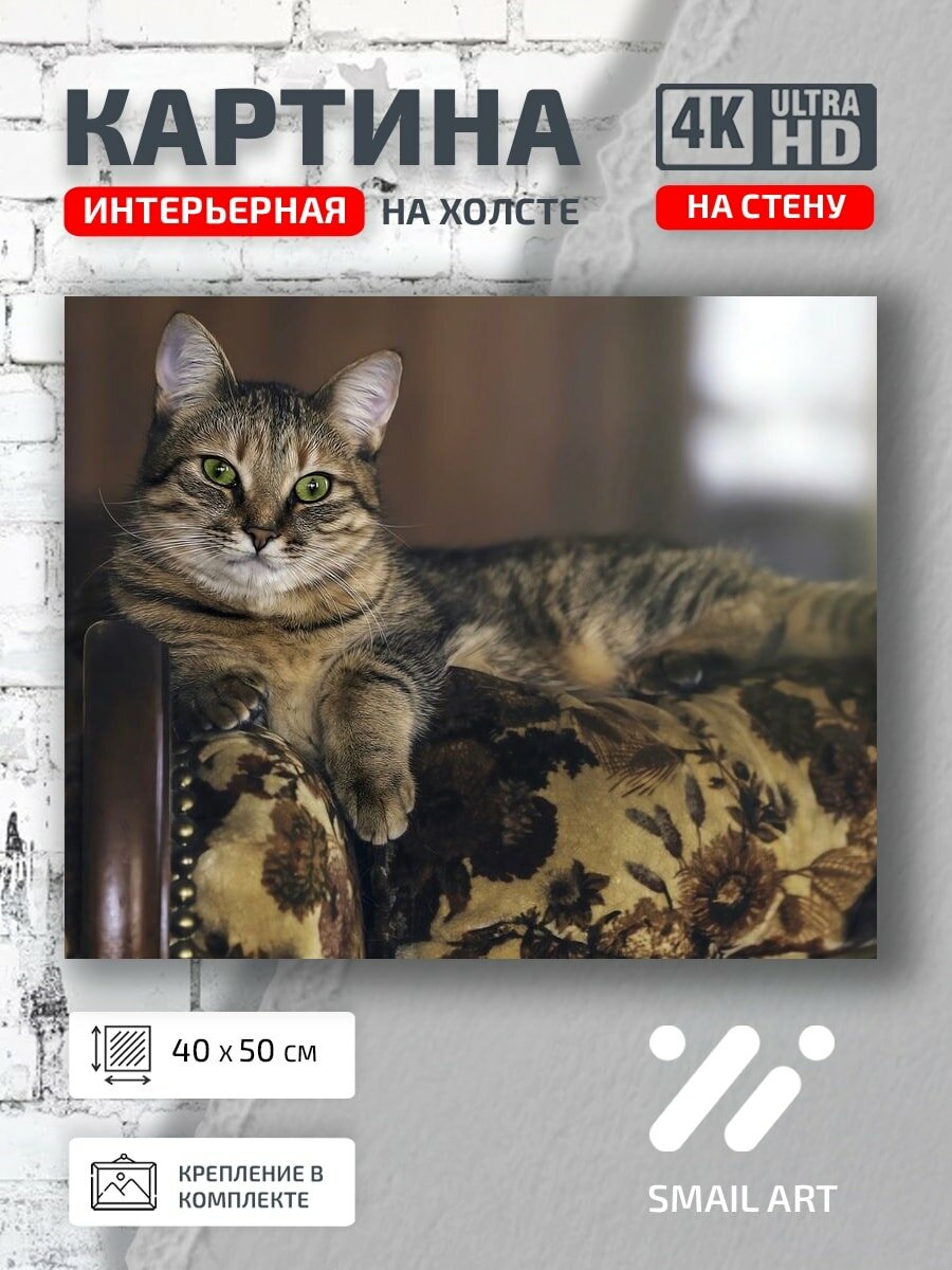 Картина на холсте интерьерная 40 на 50 на стену Животные Кот для спальни атмосфера