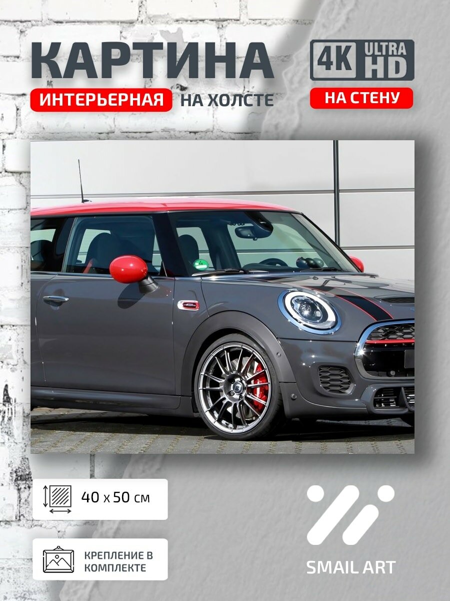 Картина на холсте интерьерная 40 на 50 на стену MINI F56 для кабинета атмосфера