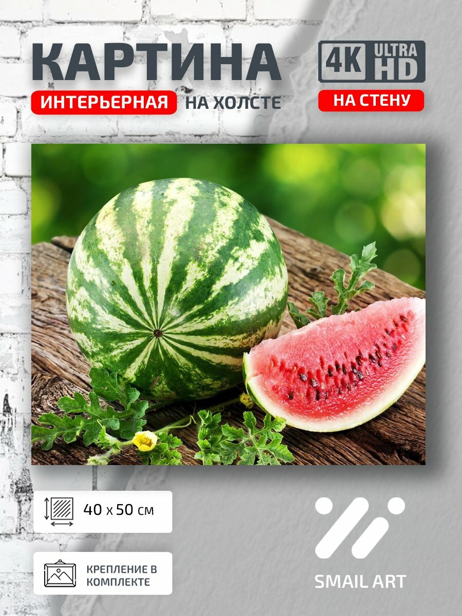 Картина на холсте интерьерная 40 на 50 на стену Семечки Food для кафе кулинария интерьер