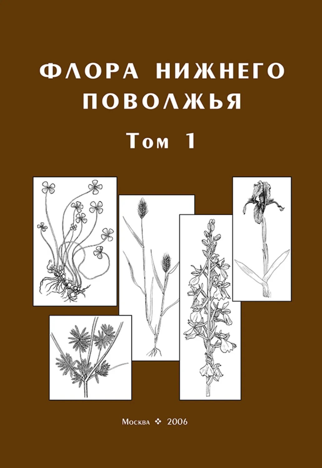 Флора Нижнего Поволжья. Том 1 [Цифровая книга]