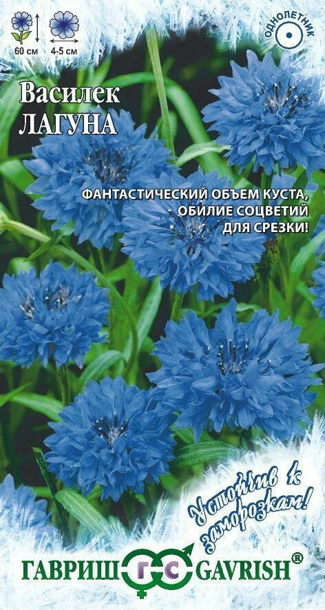 Семена Василёк Гавриш "Лагуна", высота до 60см, синий цвет, для сада, на рассаду, 1 шт.