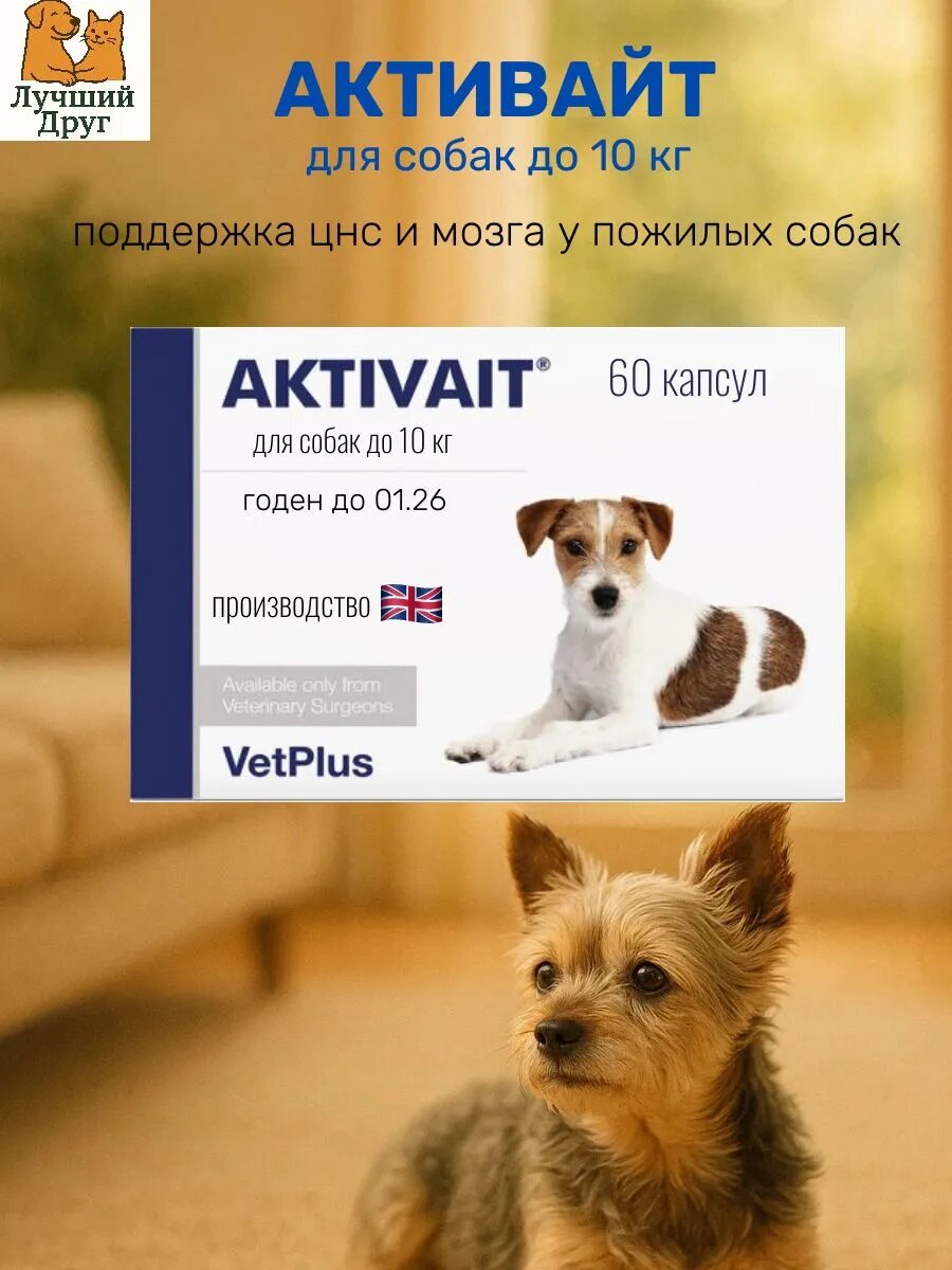 Пищевая добавка Zoetis Aktivait, для собак, для когнитивных функций 60 капсул