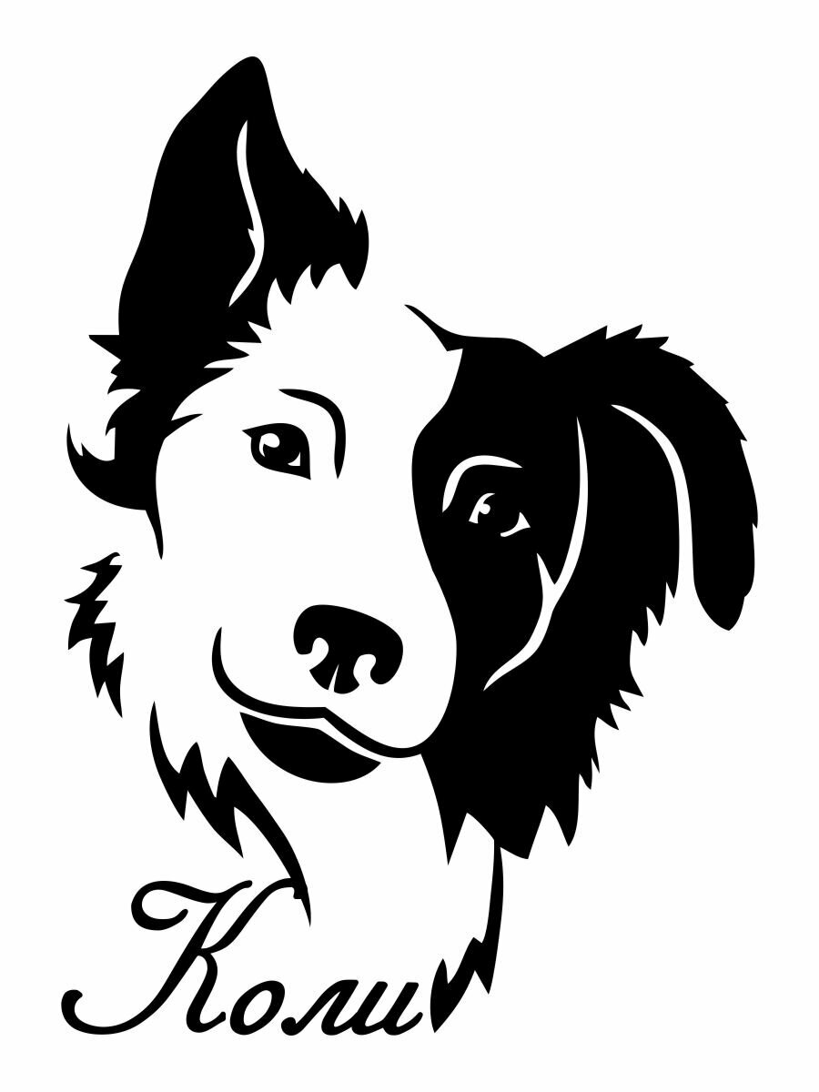 Наклейка на авто Коли на машину, на кузов, на стекло, с собакаой, с псом, друг человека