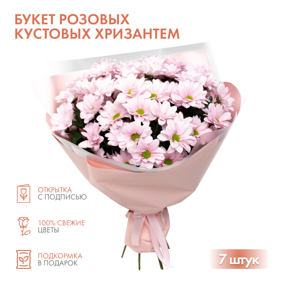 Монобукет "Хризантемы", 7 цветов, высота 60 см, каскадный, розово-кустовые