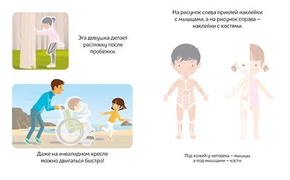 Тело человека — фото 1