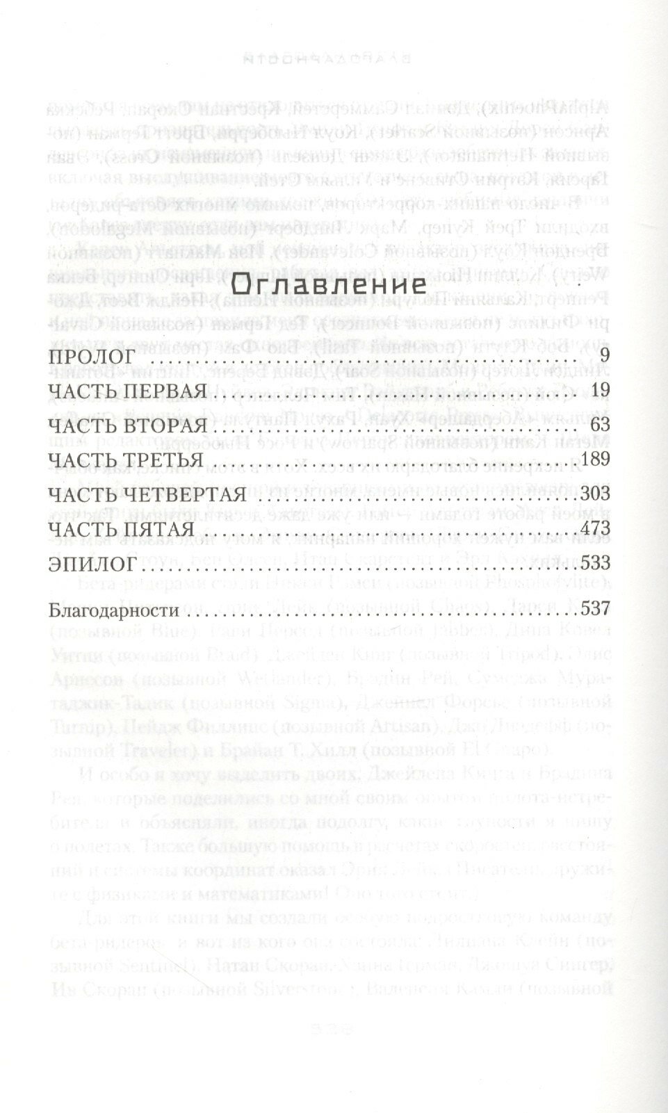 Устремленная в небо — фото 1