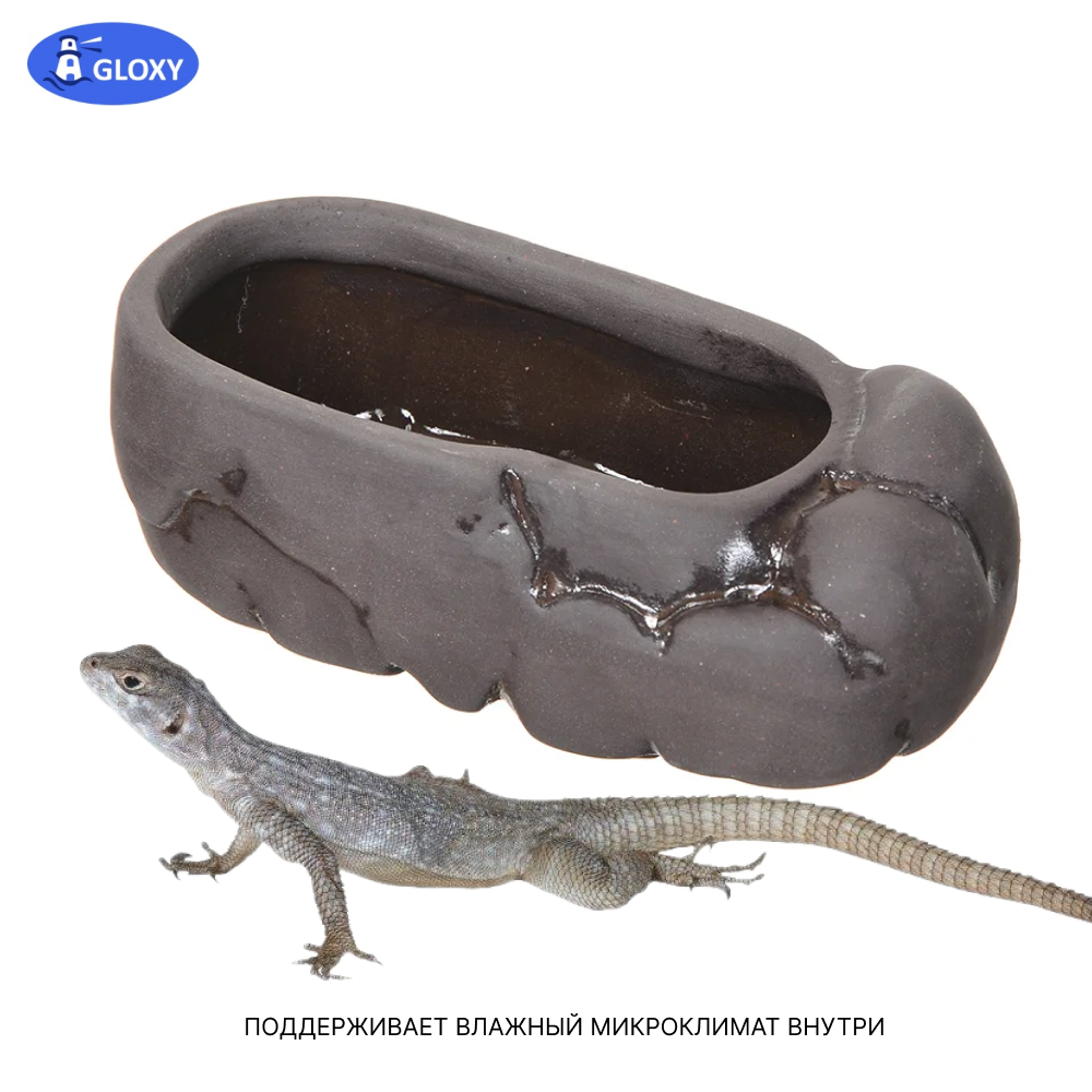 Декорация gloxy "Влажная камера", террариум, черная, 10x6x6 см