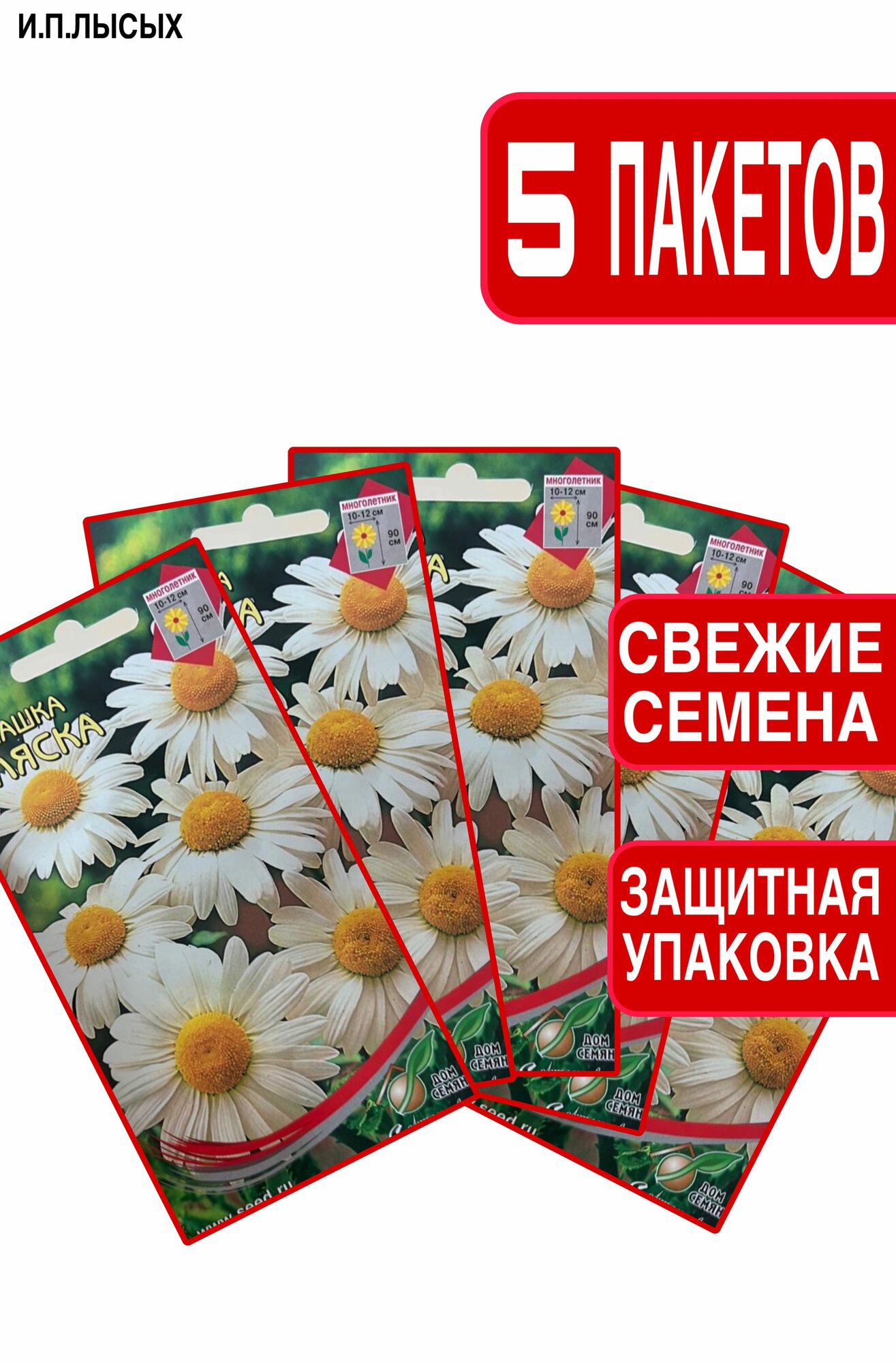 Семена Ромашка "Аляска"